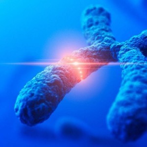 Diagnóstico Molecular da Síndrome do X Frágil: Teste Genético para ...