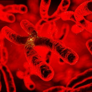 Análise de Aneuploidias Cromossômicas por qPCR: Detecção de Alterações ...